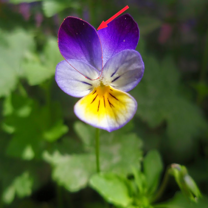 Les oeuvres numériques de Zigo: Tutoriel Illustrator : dessiner une ...