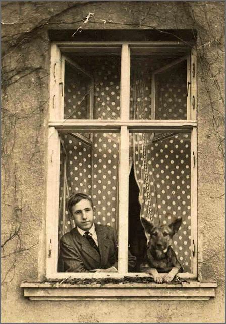 Vintage Doggy: That Doggy in the Window
