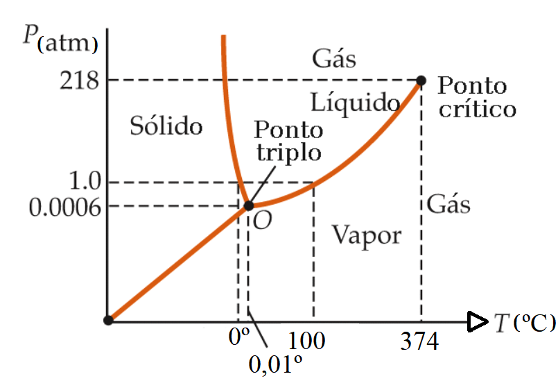 Professor Renan Jesus: fevereiro 2021