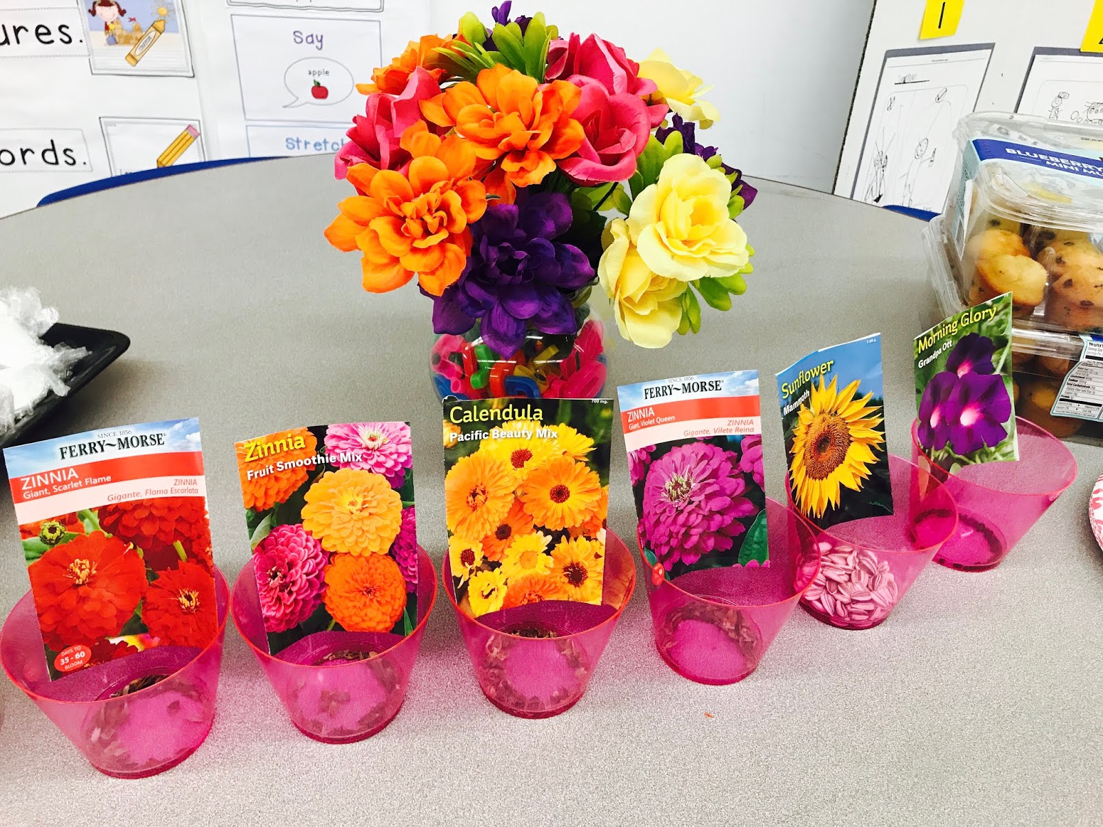 Mrs. Ricca's Kindergarten: PLANTS UNIT AND A FREEBIE!