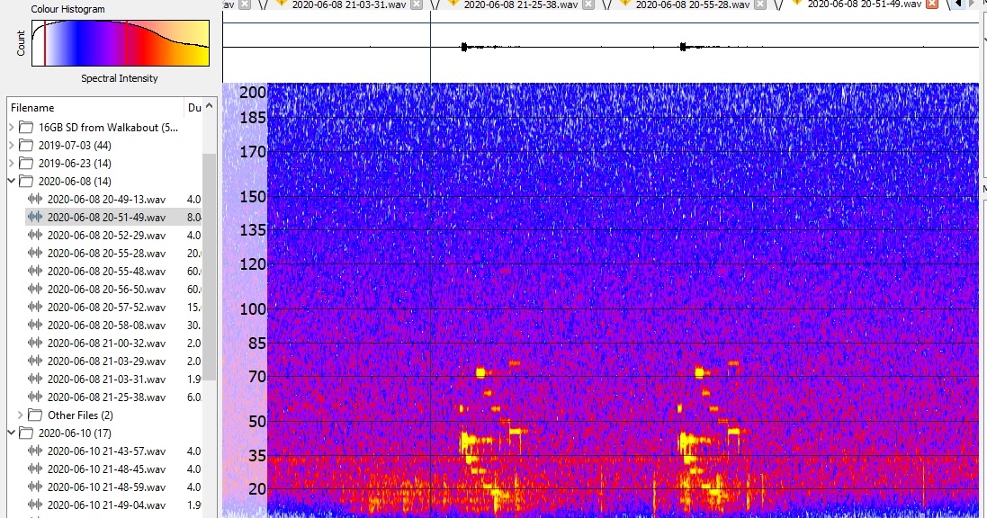 Bat Detector Reviews: Review Of The Titley Anabat Swift Part 3 Of 3 ...