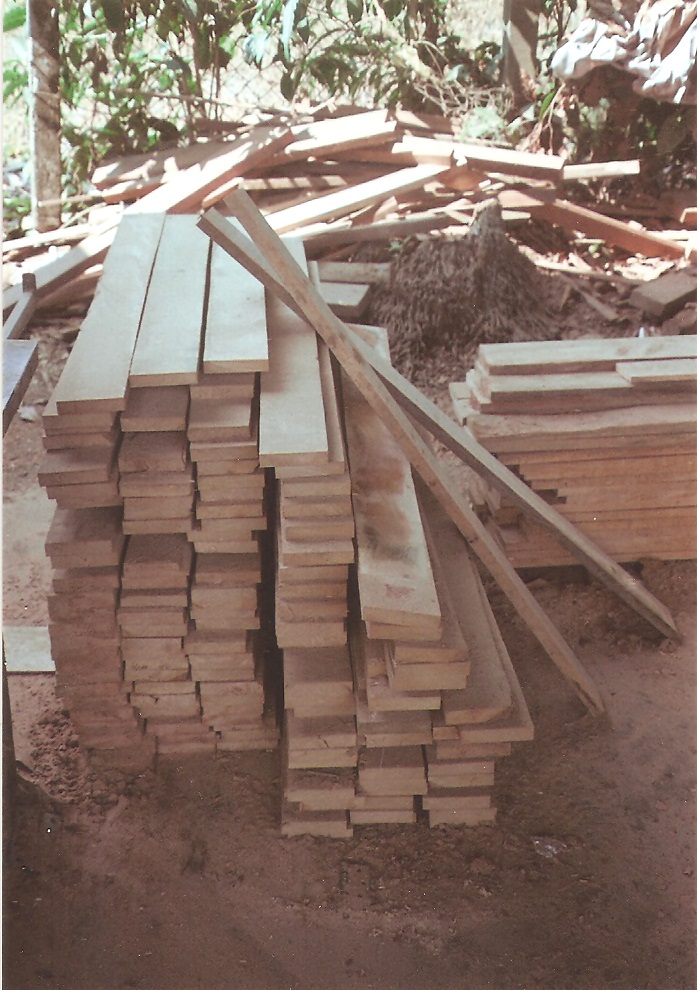 Tembesu: Kayu Tembesu