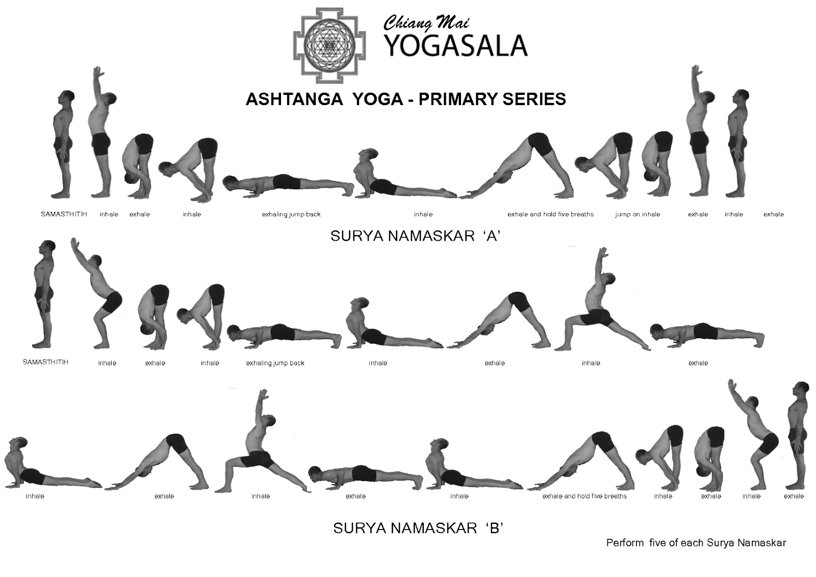 Yoga Poses Easy 781 ALL NEW YOGA ASANAS POSTURES WITH NAMES yoga-poses-easy-781-all-new-yoga-asanas-postures-with-names