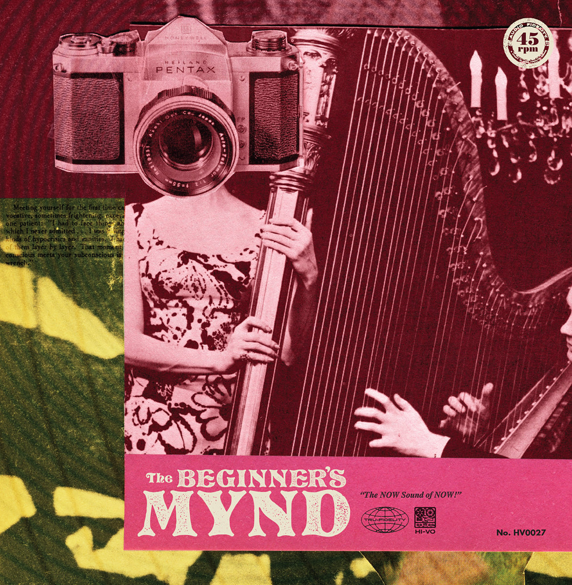 Interview with Dan McNabb of The Beginner’s Mynd - It's Psychedelic ...