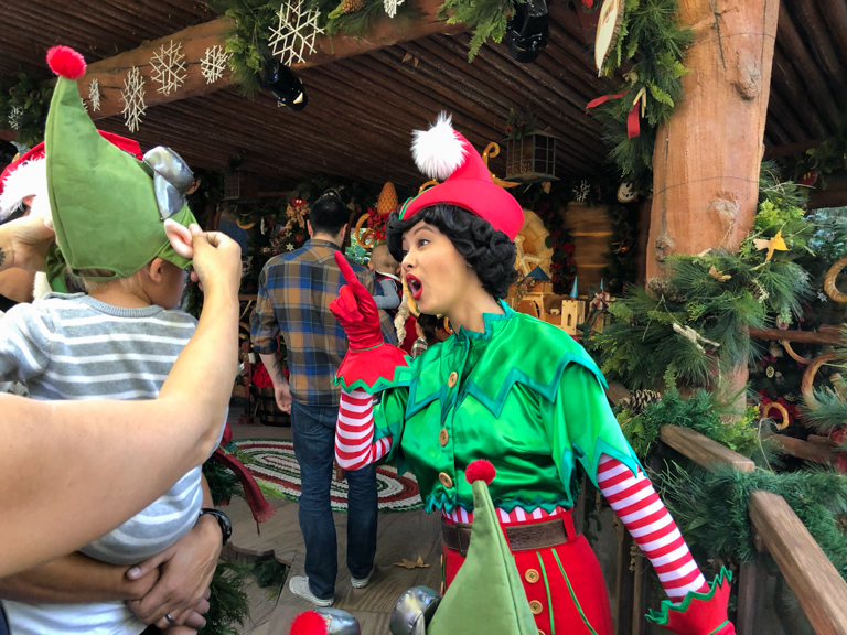 Tales of the Flowers: Meeting Santa at Disneyland