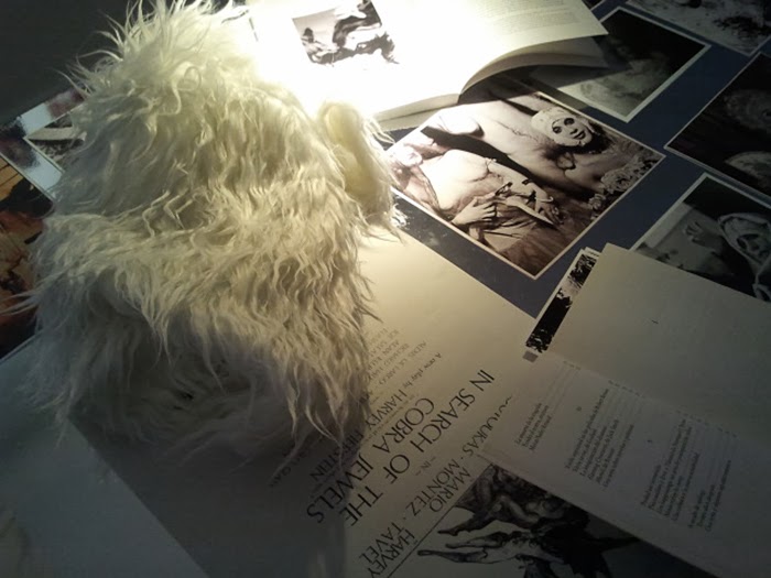 MARIO MONTEZ, ITʼS WONDERFUL!