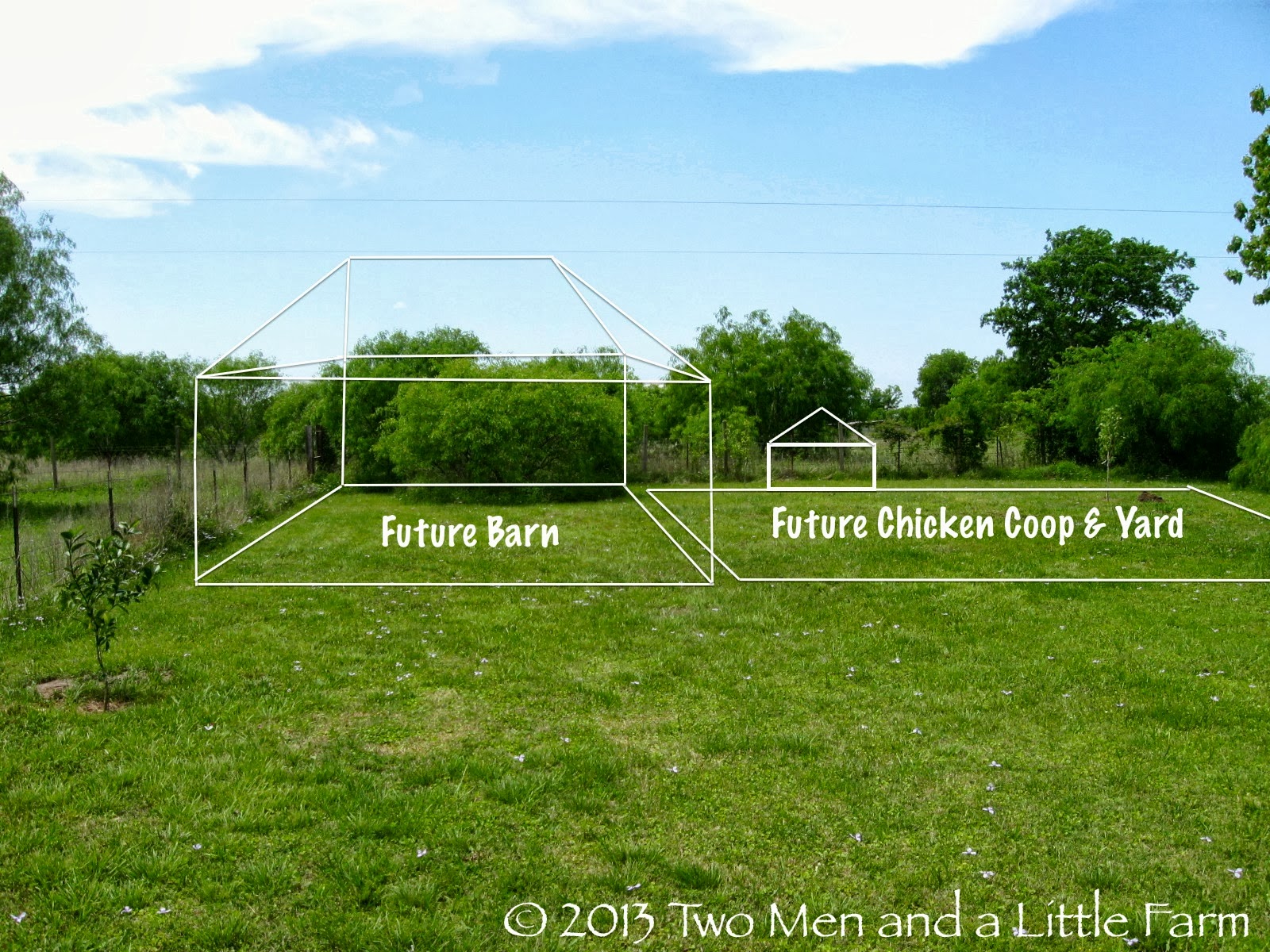 Two Men and a Little Farm: FREE RANGE CHICKEN GARDENS BOOK REVIEW