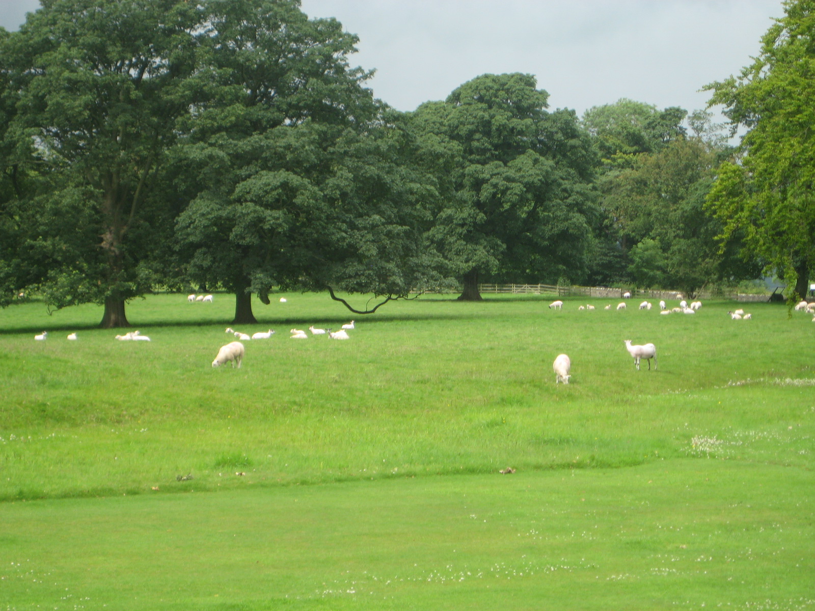 Postcards from Preston: Lord and Lady Clitheroe