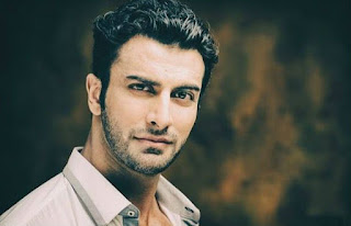 Rajbeer Singh Wiki, Movies,affairs, Biodata, Contact-info, Family, News ...