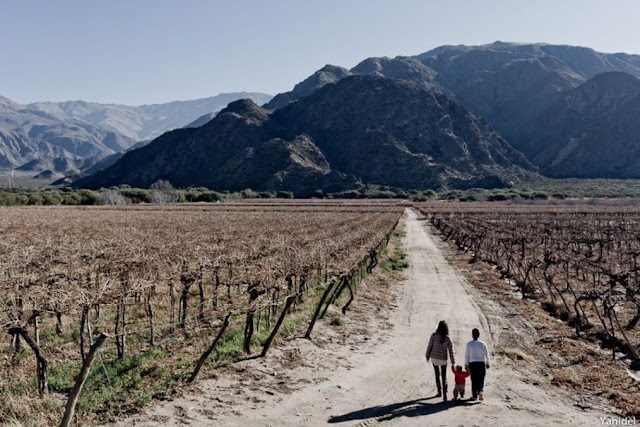 Fotografia Contemporanea: Yanidel (1973)