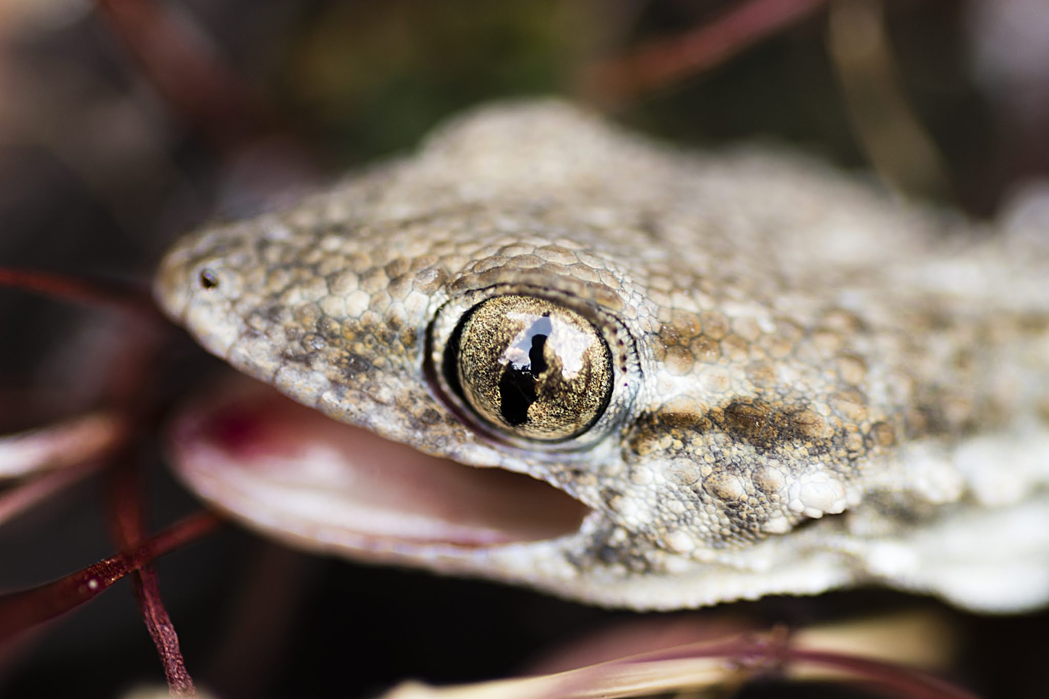 emblanco - fotografías: EN LAS ANTÍPODAS (HACE SEIS MESES) --- [111]