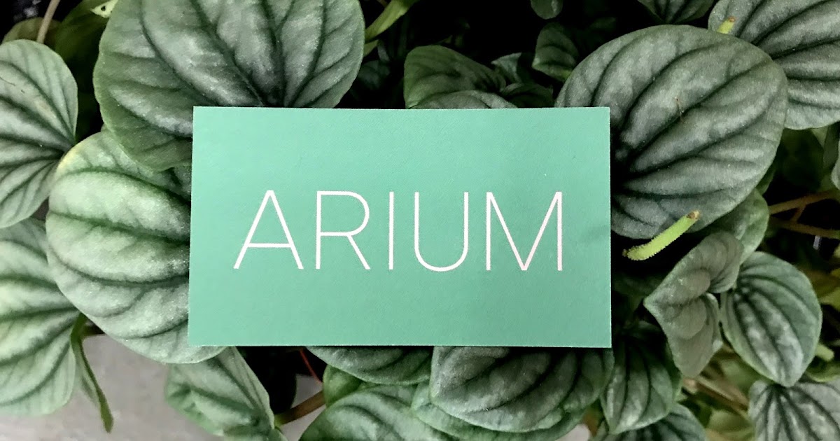 danger garden: Visiting Arium Botanicals, in Portland