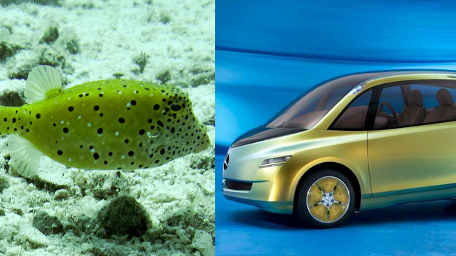 FAIZ RAHMAN :): Ten Cars That Look Like Fish