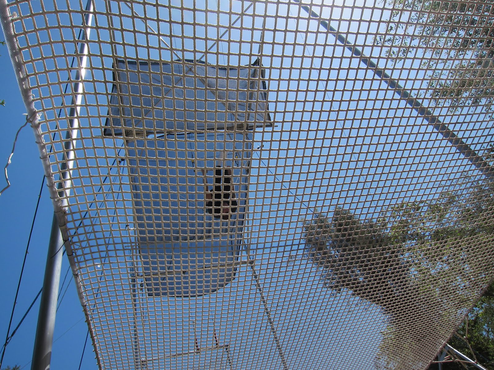 Sensory Overload: Flying Trapeze - Planche