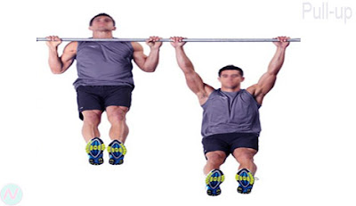 Physical Exercises Names, Meaning & Image | Necessary Vocabulary ...