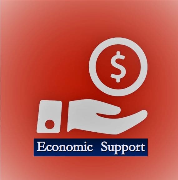Concept of economic support and types - Economist