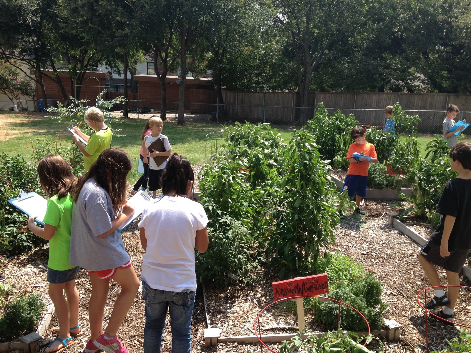 Moss Haven Farm: Back To School - Back To Farm Learning