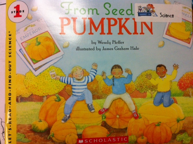 The Adventures of a K/1 Teacher: Fun with Plants