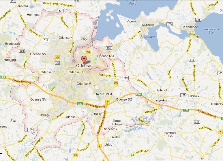 Surviving in Odense: What documents you should apply in order to live ...