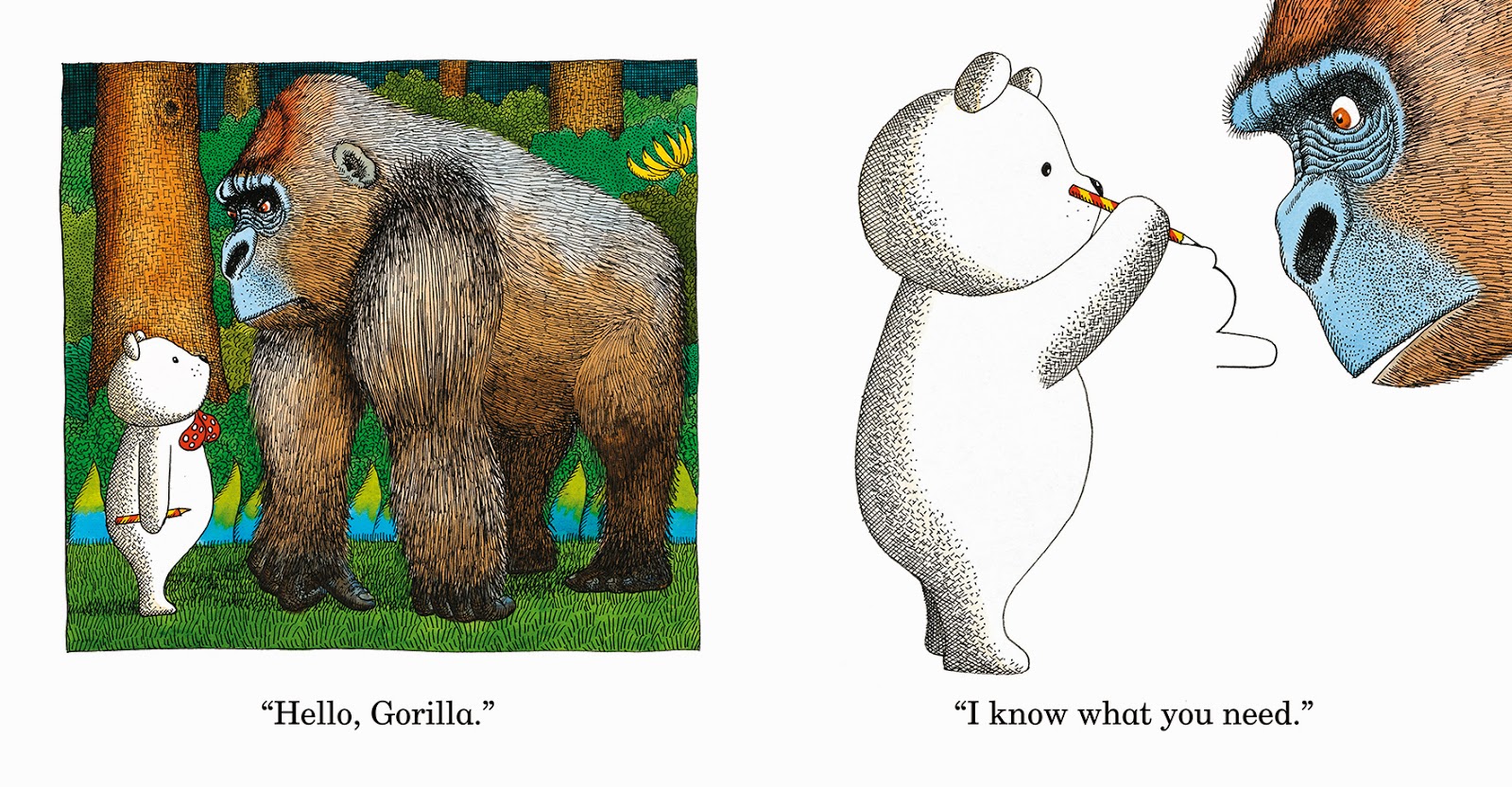 The Little Bear Book by Anthony Browne