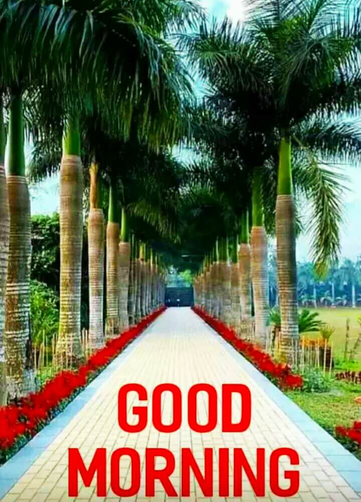 Best 35+ Good Morning Images For Facebook || Good Morning Images For ...