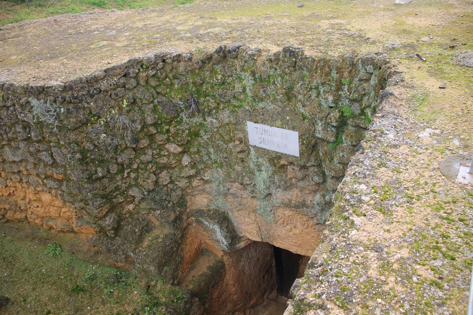 En Carmona (Sevilla): Necrópolis romana de Carmona.