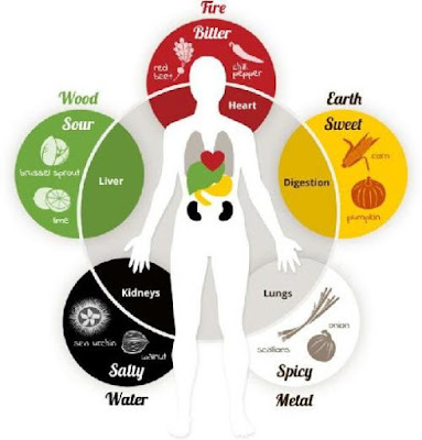 Herbal-Pal: How Does Traditional Chinese Medicine (TCM) Heal Diseases?