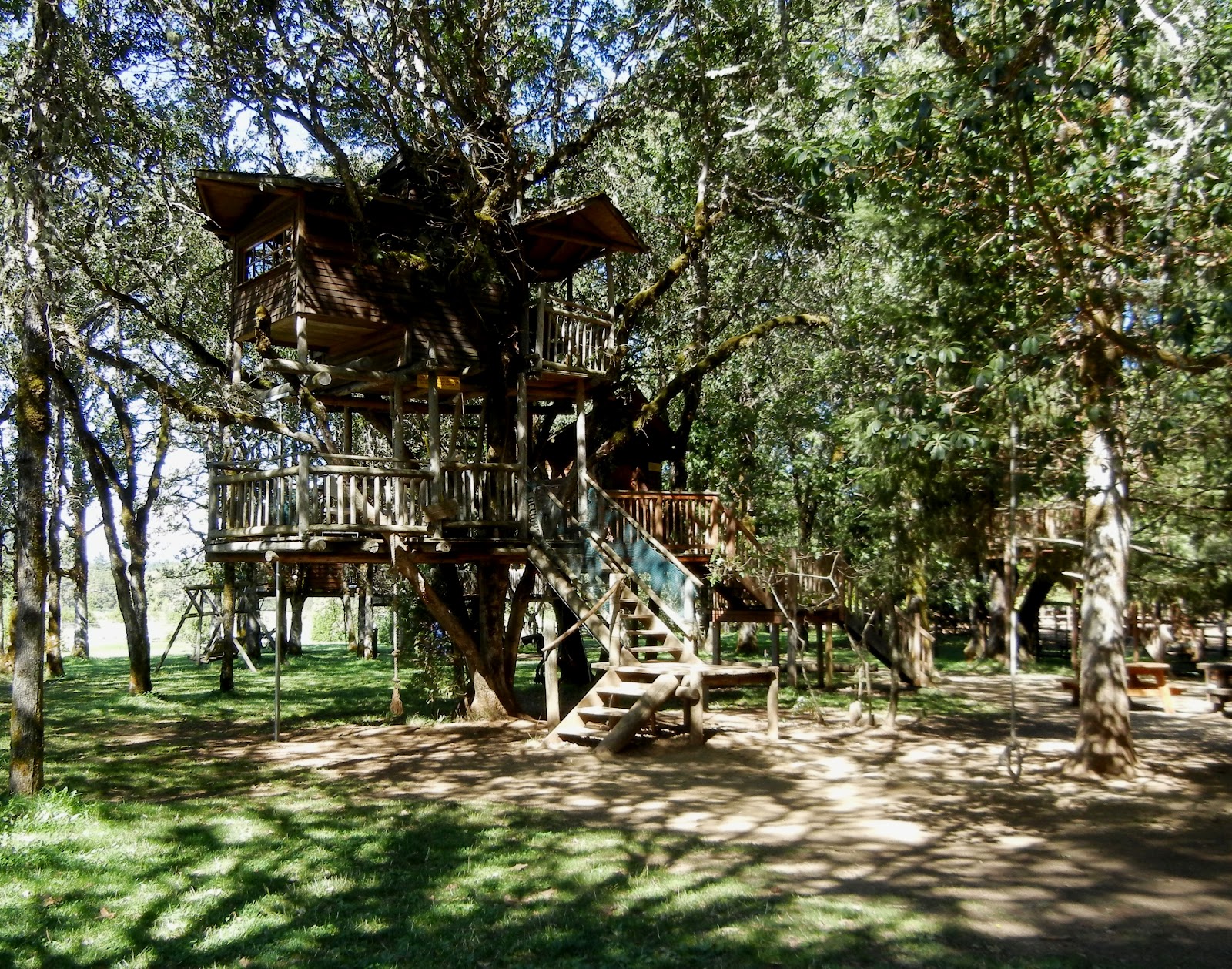 Red's mid life crisis: A Tree-mendous idea chap-tree 1