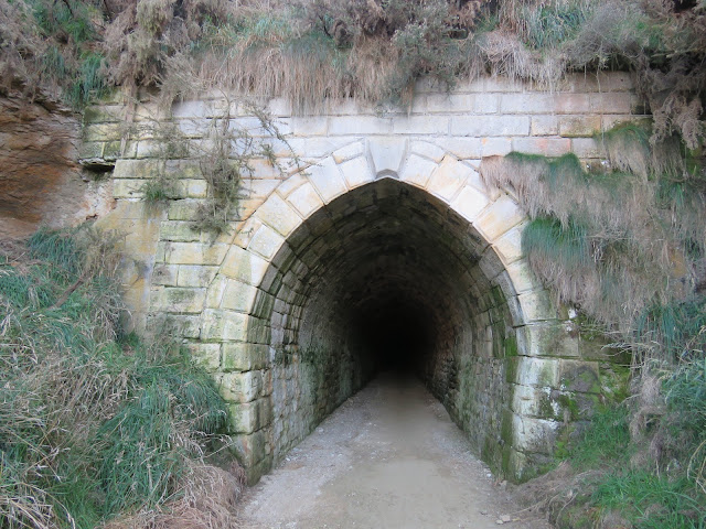 Southern Rails: Light at the end of the Tunnel - Rakis Tunnel on the ...