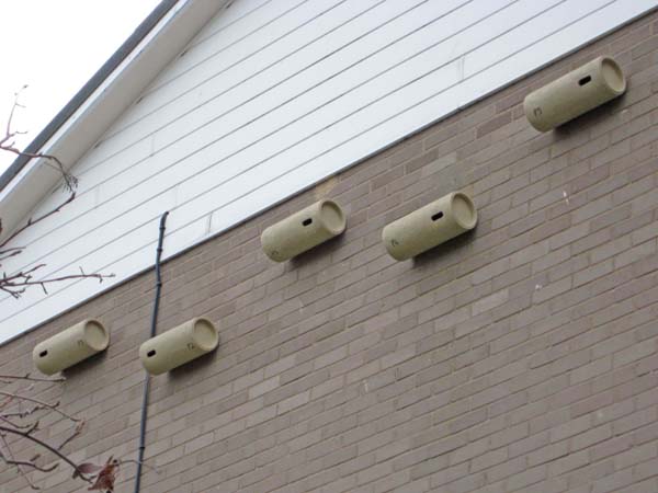 Action for Swifts: Recycled Water Pipe Swift Nestbox