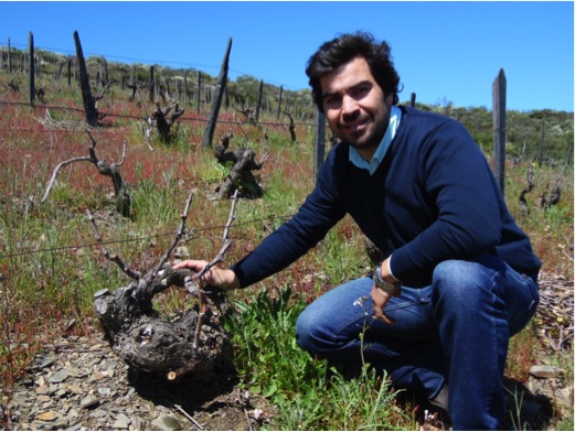 Avinhar: Márcio Lopes