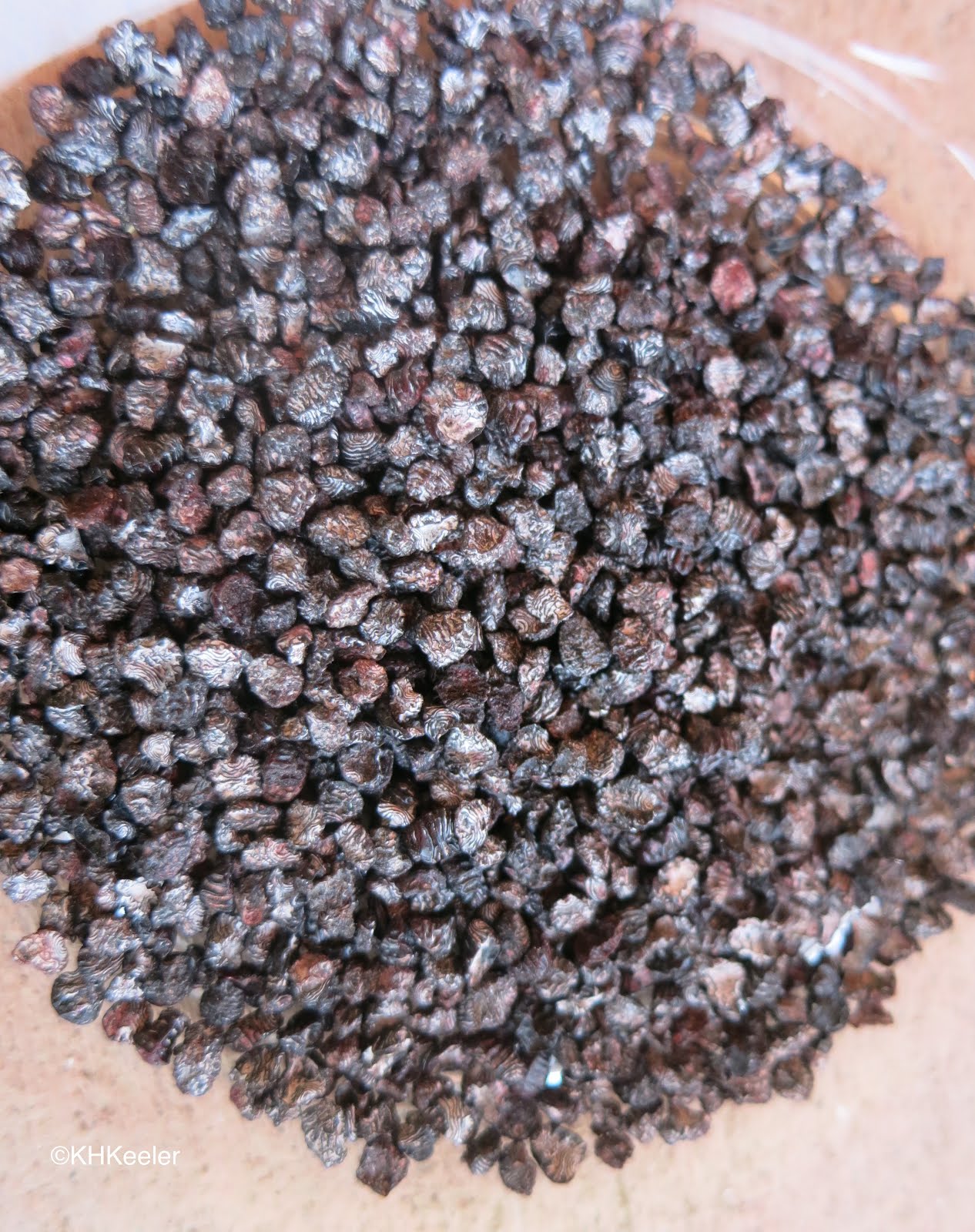 A Wandering Botanist: Dye Story--Cochineal Reds