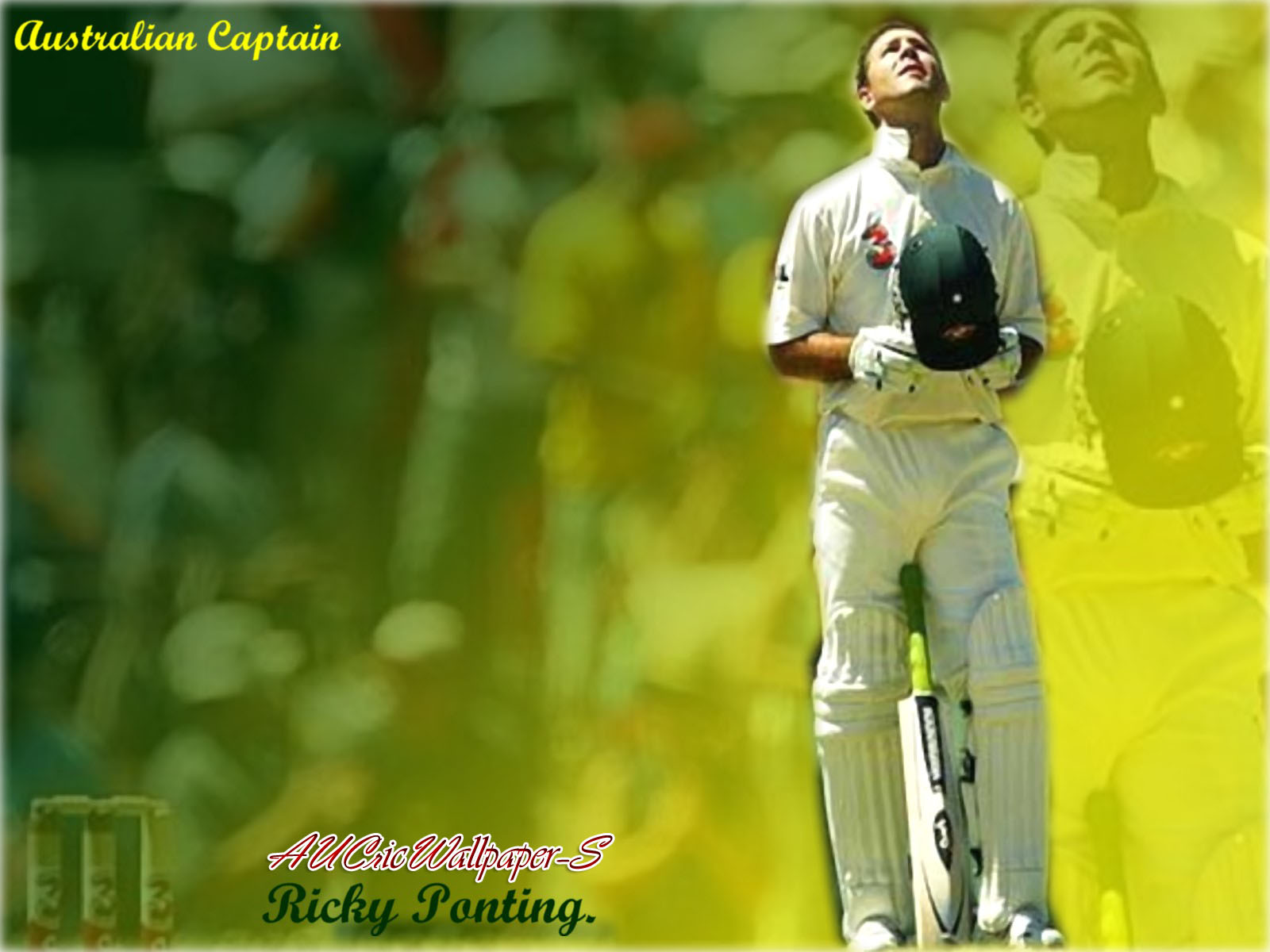 Wallpaper Schemas: Ricky Ponting Wallpapers Pack 2