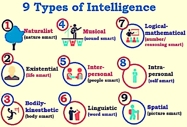Intelligence in Psychology -Types and Characteristics - Know What Kind ...