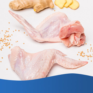 European Quality Poultry: An Introduction to Poultry Food