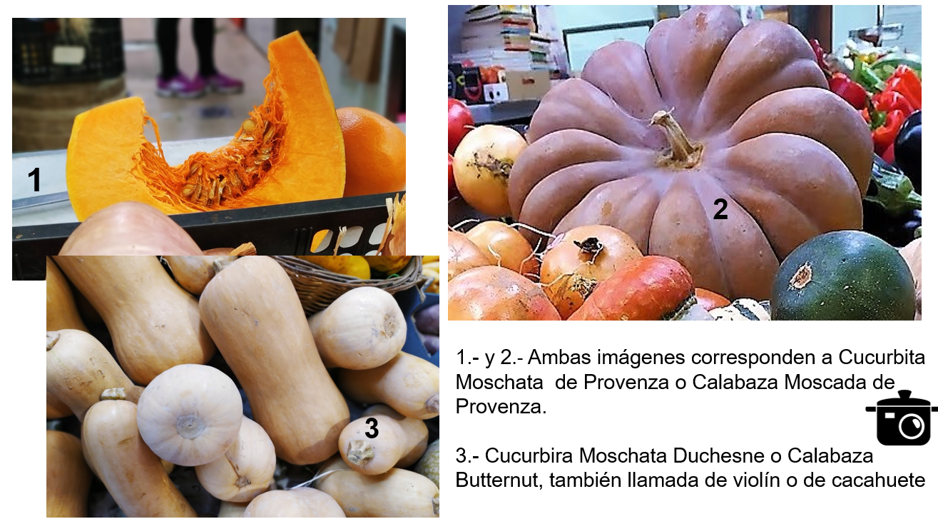 Cocina Foto a Foto: La calabaza: orígenes, variedades comestibles y ...