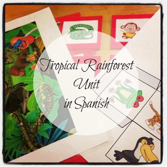 Debbie's Spanish Learning: Rainforest Unit in Spanish {Free Printables}
