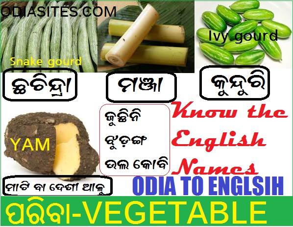 Vegetable Names in Odia and English
