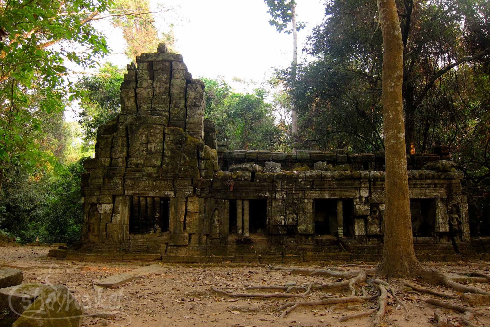 Angkor Archaeological Park: Ta Prohm