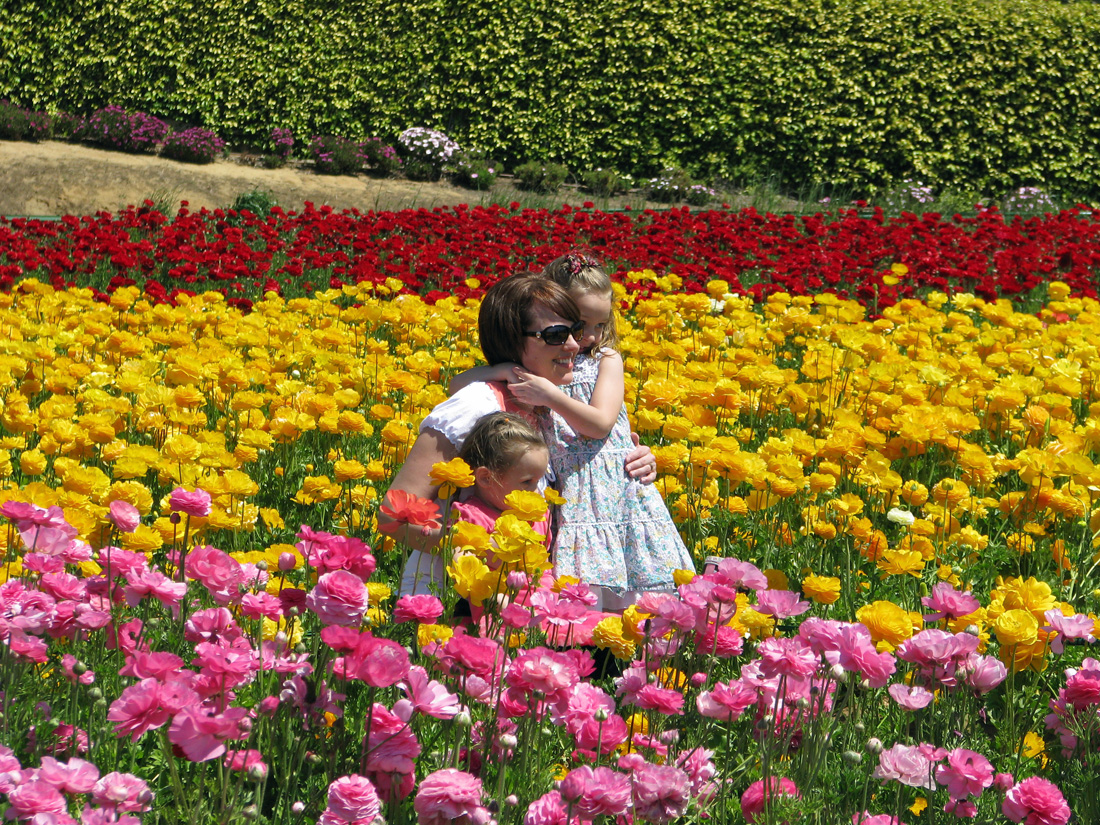 The Bell Curve of Life: Carlsbad Flower Fields - The People