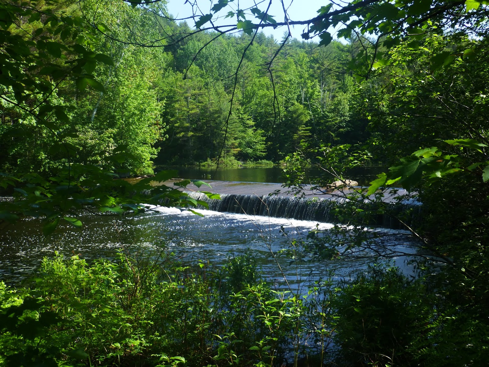 Off on Adventure: Hammond Pond and Sweet Fern Hill - Hammond Pond Wild ...