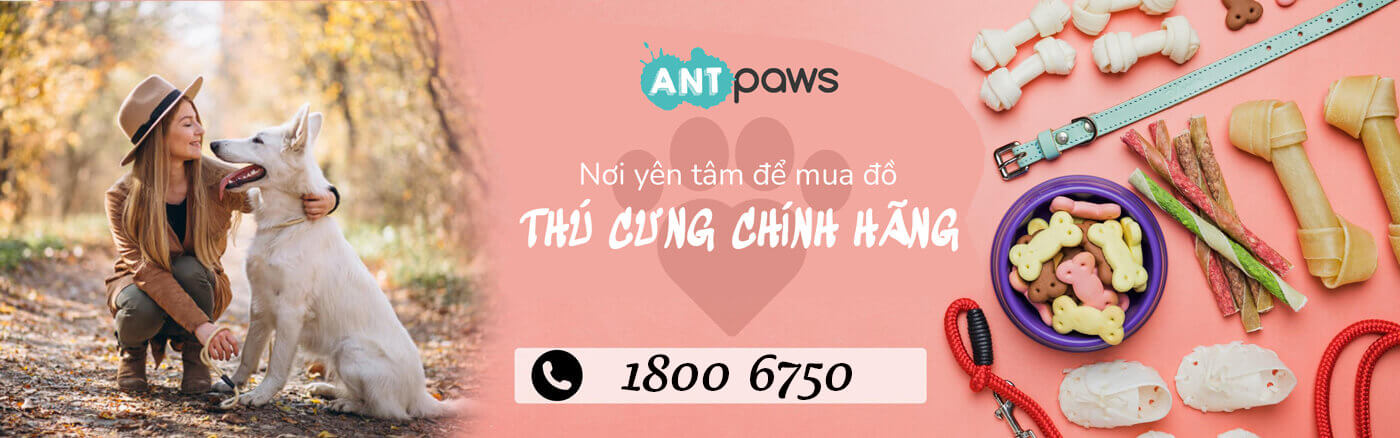 Ant Paws