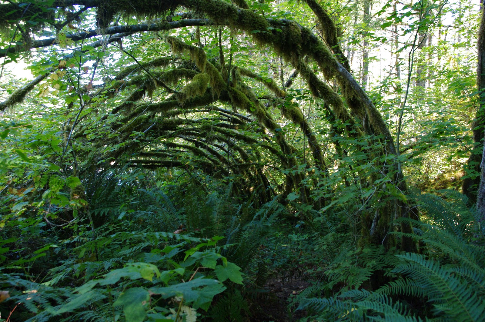 Our Trip Out West: 9/13/12 -- Across the Last Range of Mountains (mostly)