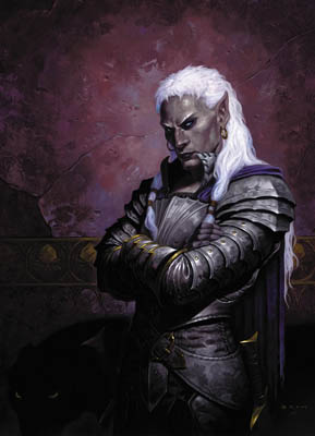 DragonsFaeriesElves&theUnseen : Drow Art