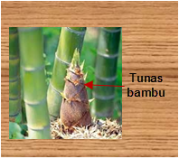 PERKEMBANGBIAKAN TUMBUHAN: PERKEMBANGBIAKAN TUMBUHAN