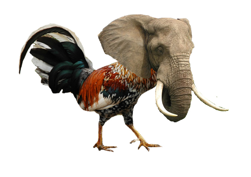 Art and Design Extended Diploma: October 2011