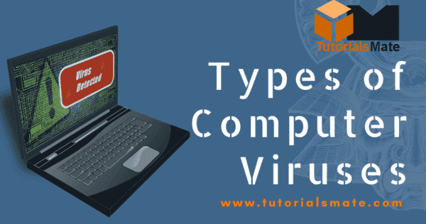 Types of Computer Viruses - TutorialsMate