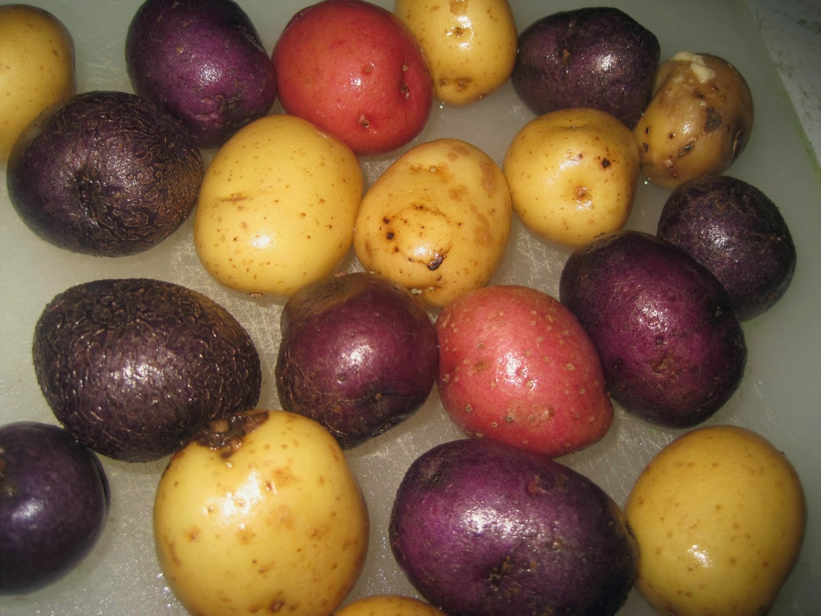 Boys and Beets | Farm Fresh Recipes - Charlotte, NC: Oven-Roasted Tri ...