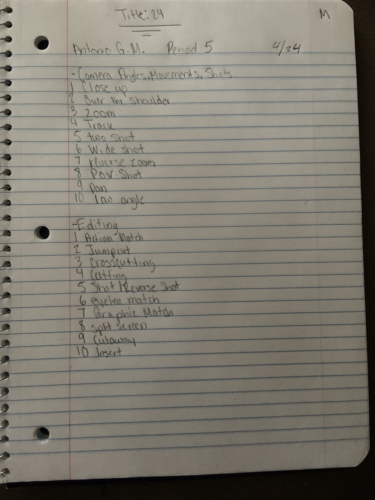 AICE Media Studies Blog