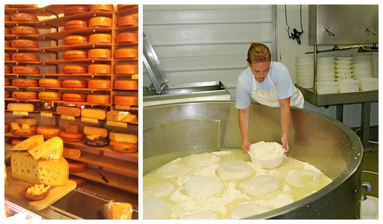 Here's What No One Tells You About How Cheese is Made?